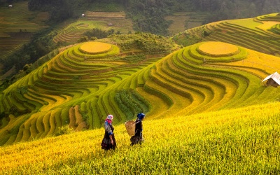 This farming method often used in China makes the hills look like steps ...